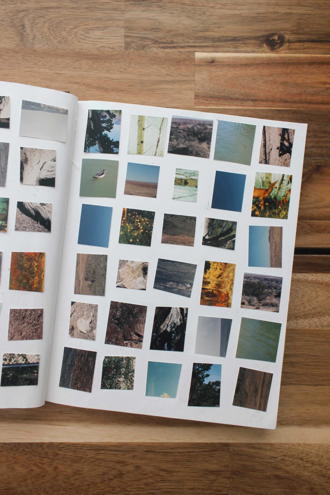 Film Photo Collage | meganalms.com