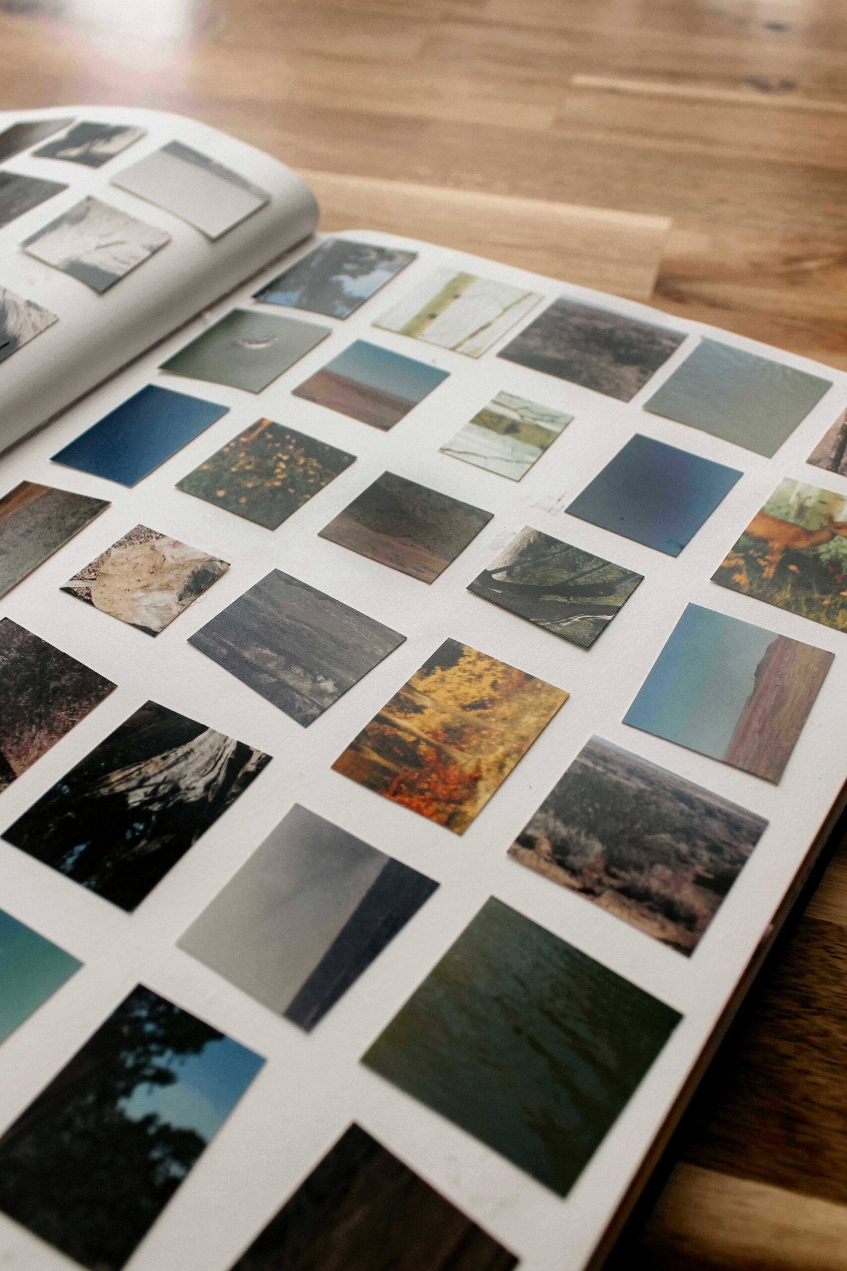 Film Photo Collage | meganalms.com