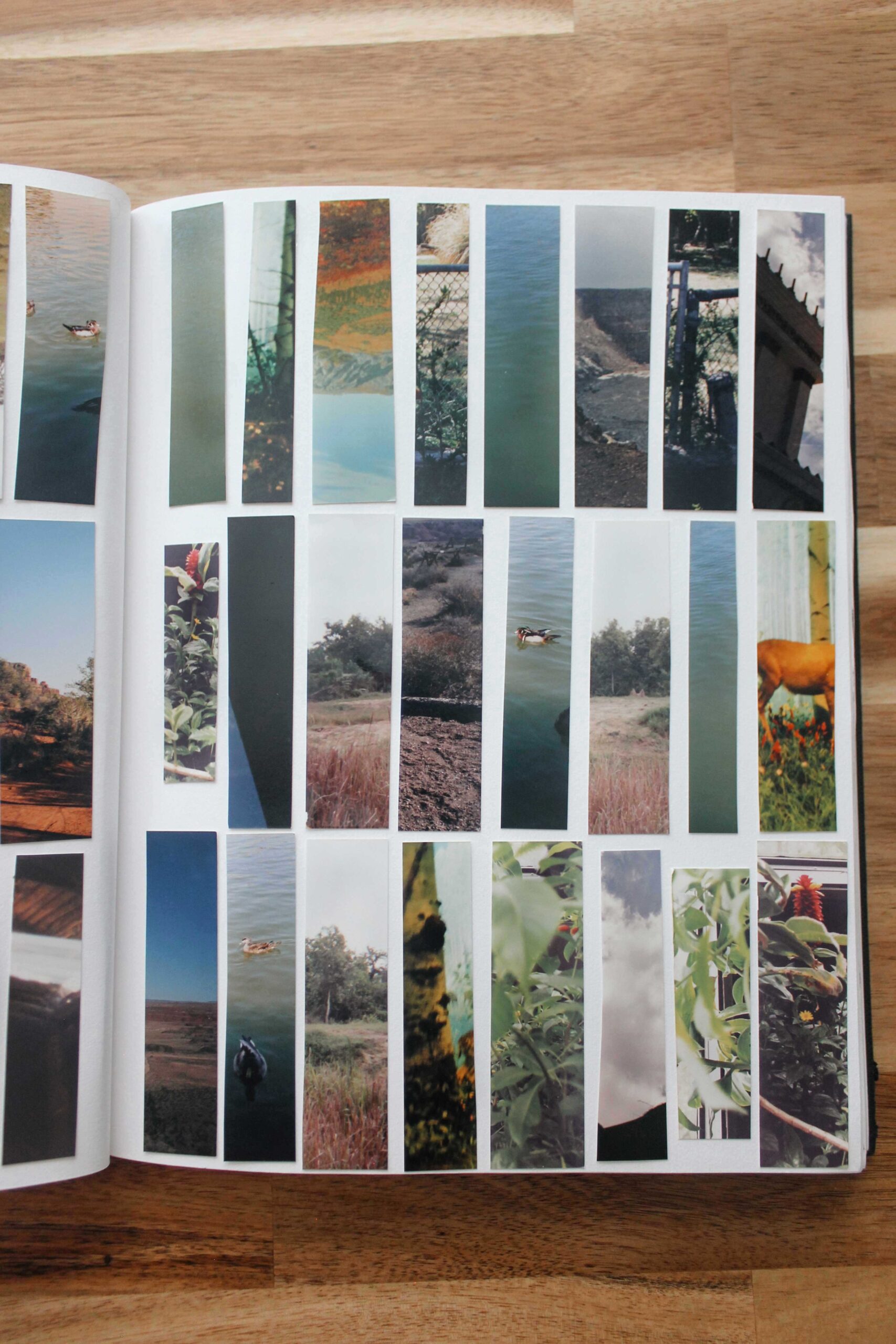 Film Photo Collage | meganalms.com