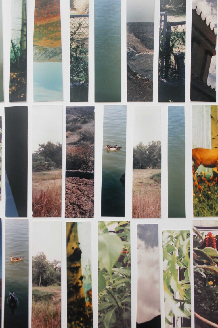 Film Photo Collage | meganalms.com