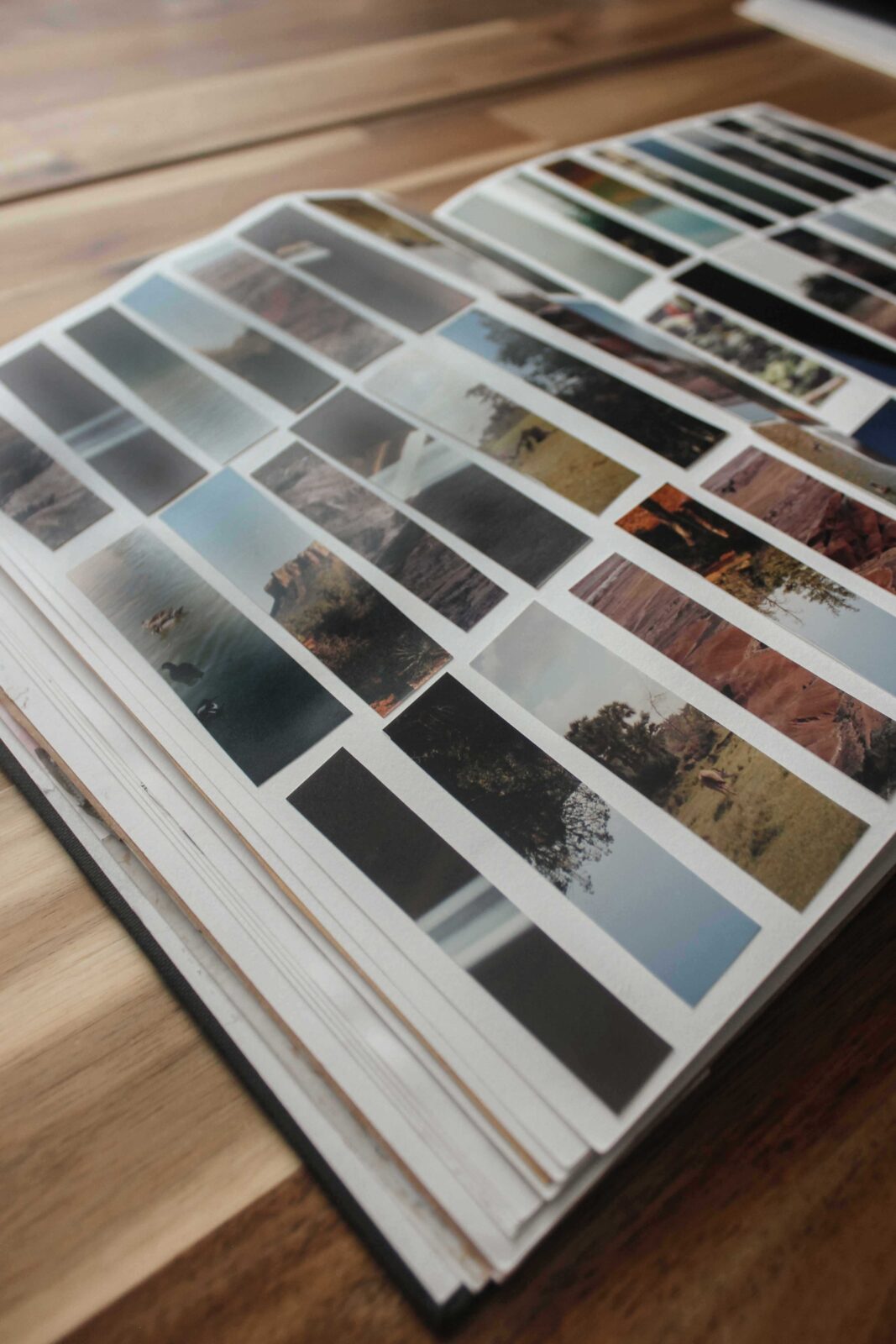 Film Photo Collage | meganalms.com